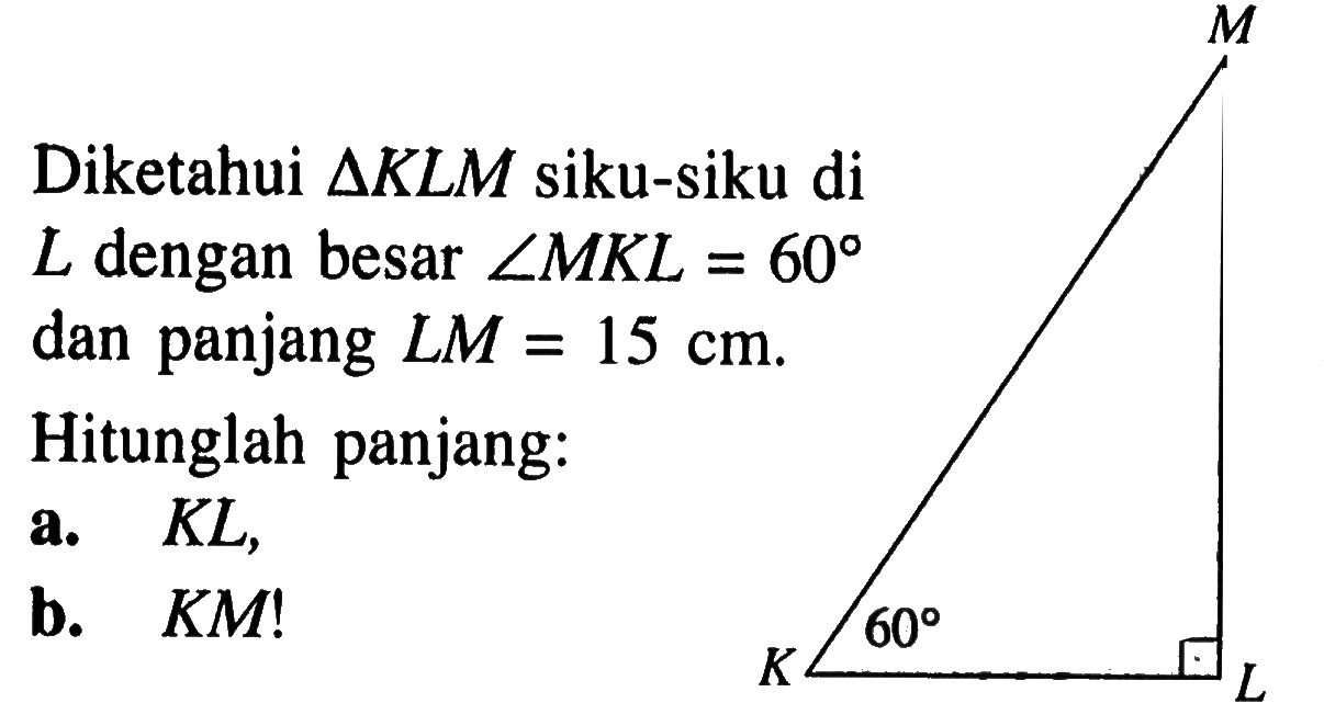 Diketahui segitiga KLM siku-siku di L dengan besar sudut ...