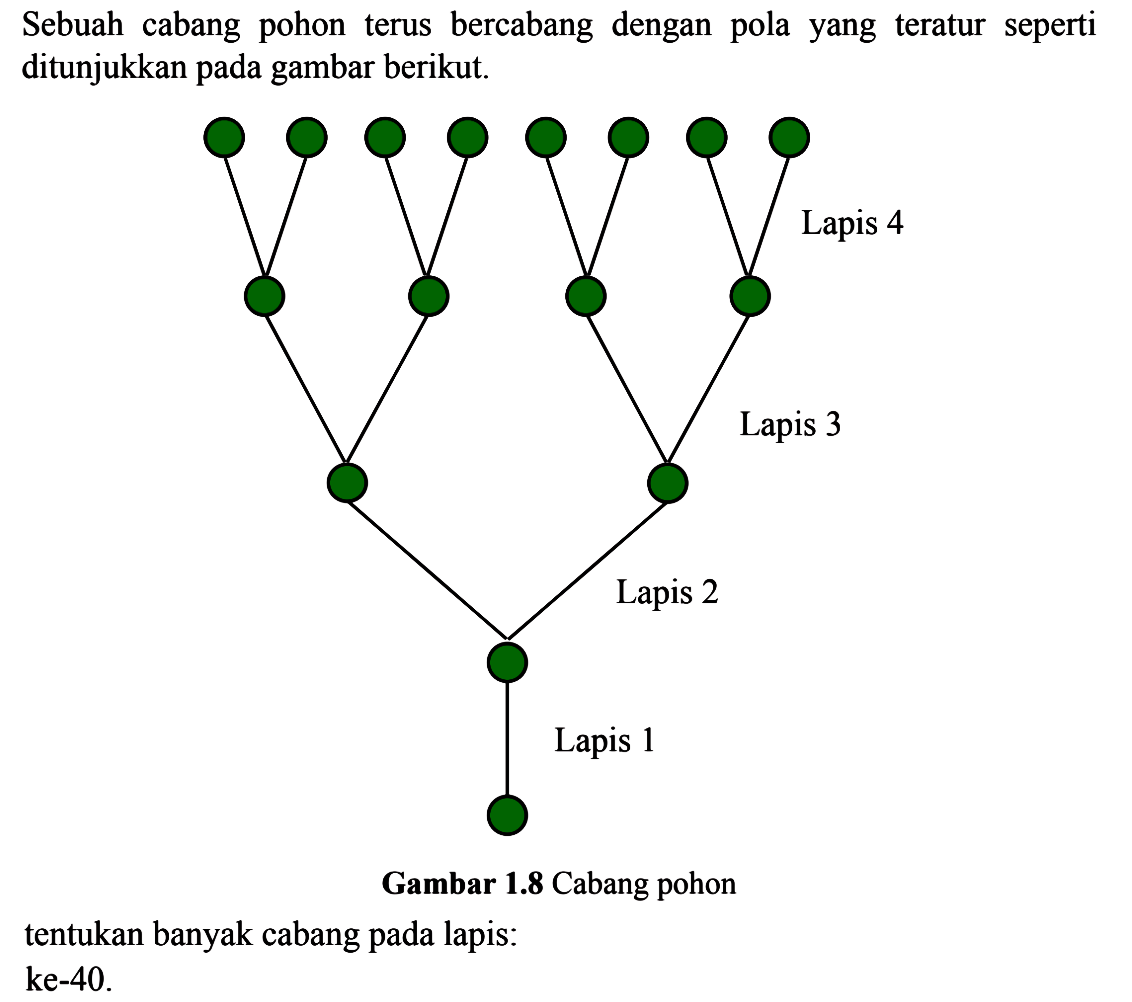 Sebuah cabang pohon terus bercabang dengan pola yang tera...